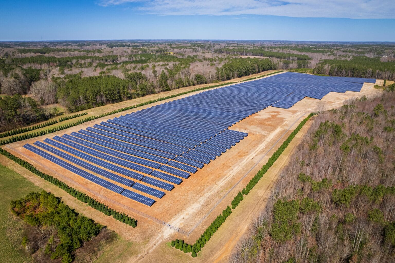 Cómo las Energías Renovables Ayudan a Reducir la Huella de Carbono ...